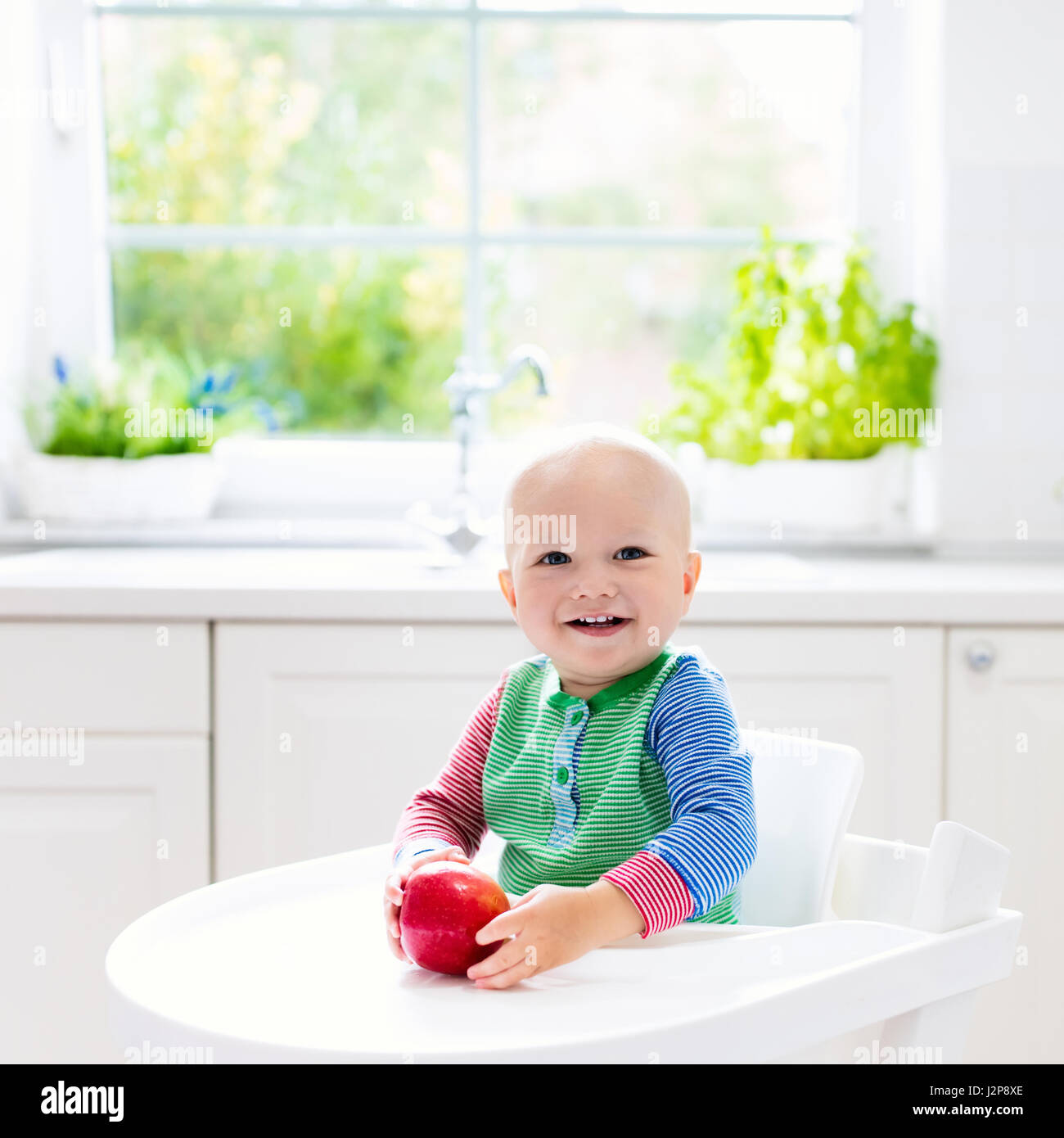 Baby eating fruit. Little boy biting apple sitting in white high chair ...