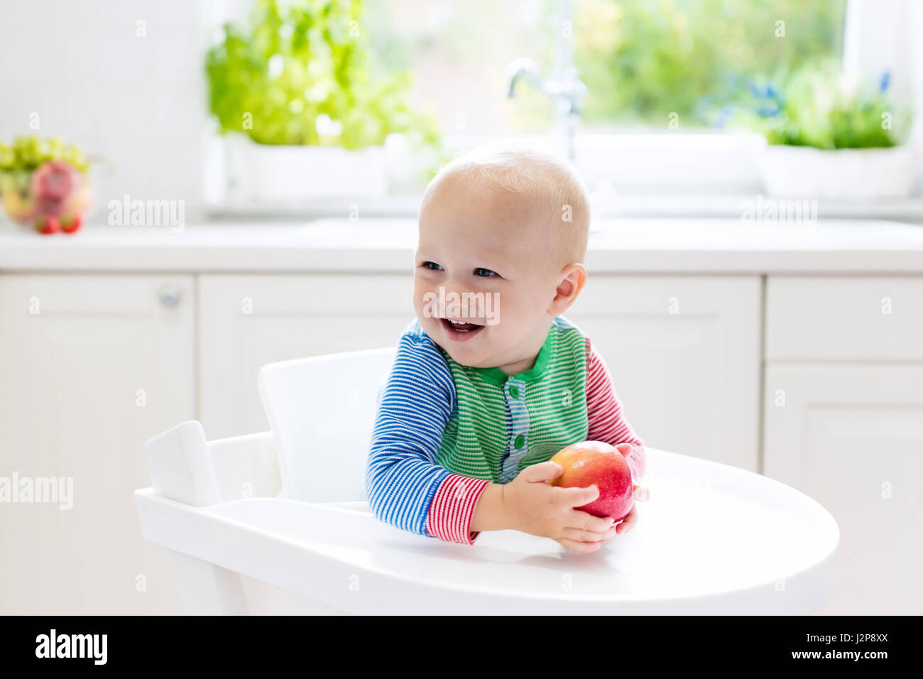 Baby eating fruit. Little boy biting apple sitting in white high chair ...