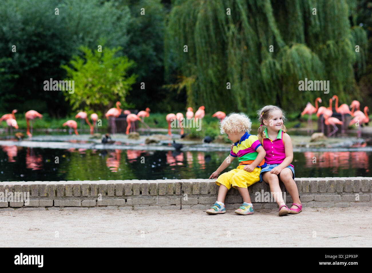 Kids watch animals and birds at the zoo. Children watching wild life at ...