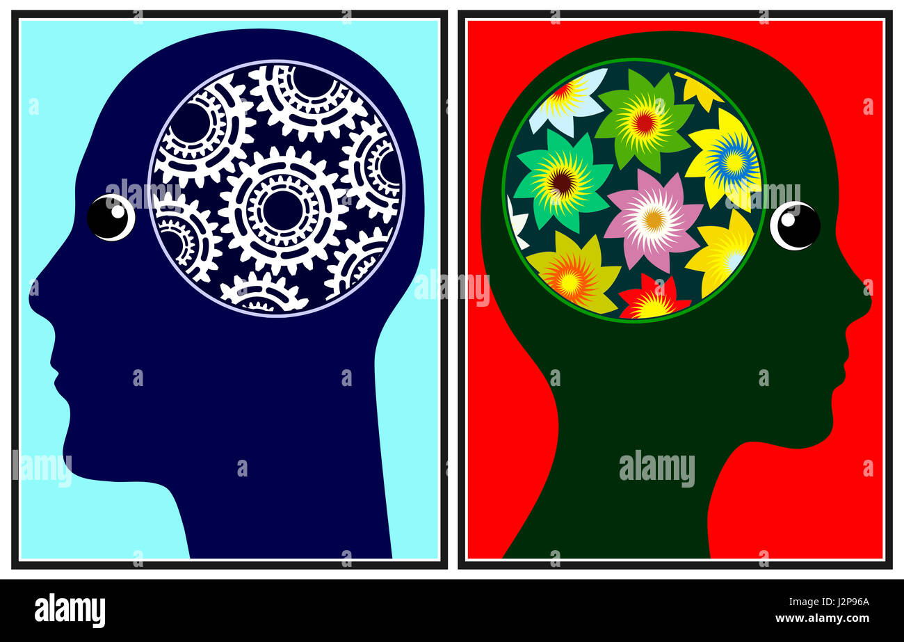 The brains of men and women work in different ways Stock Photo - Alamy