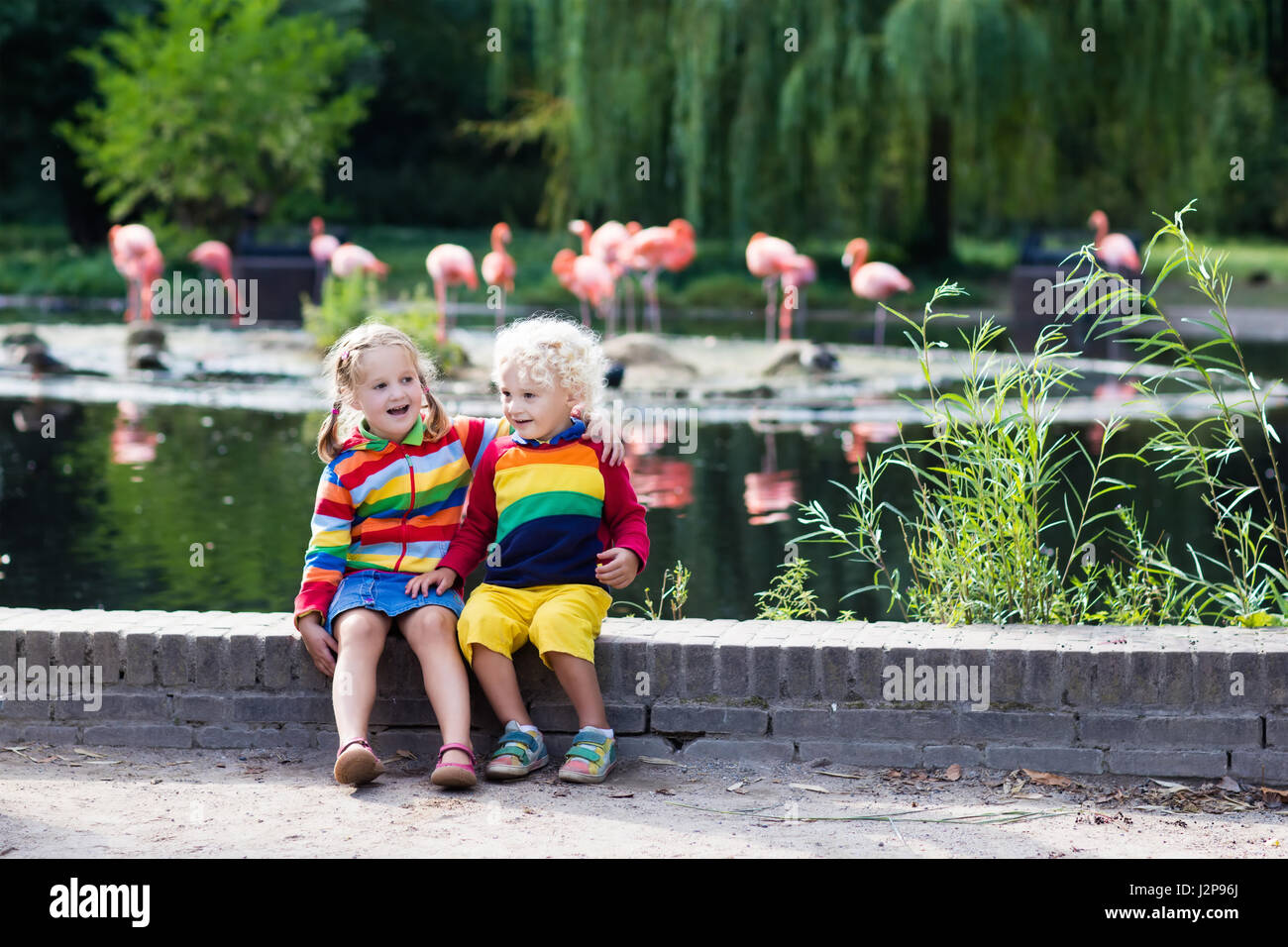 Kids watch animals and birds at the zoo. Children watching wild life at ...