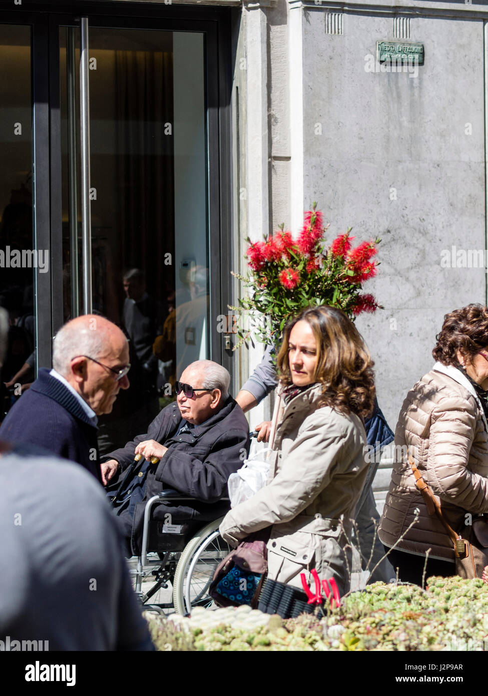 Botanic Invasions event - street flower and plants open market ...