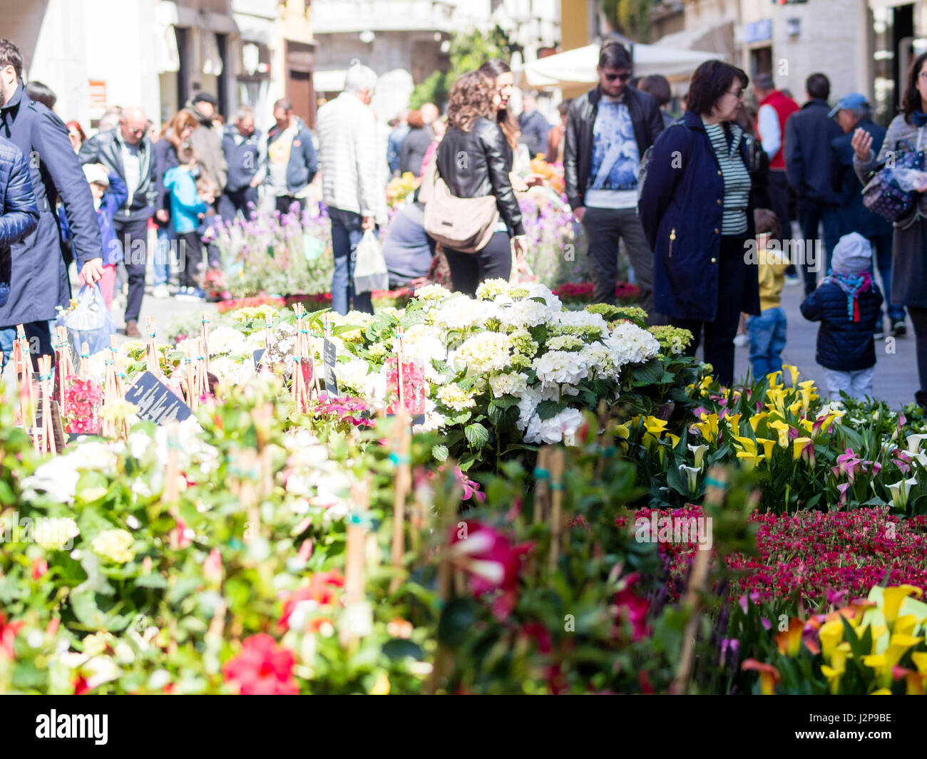 Botanic Invasions event - street flower and plants open market ...