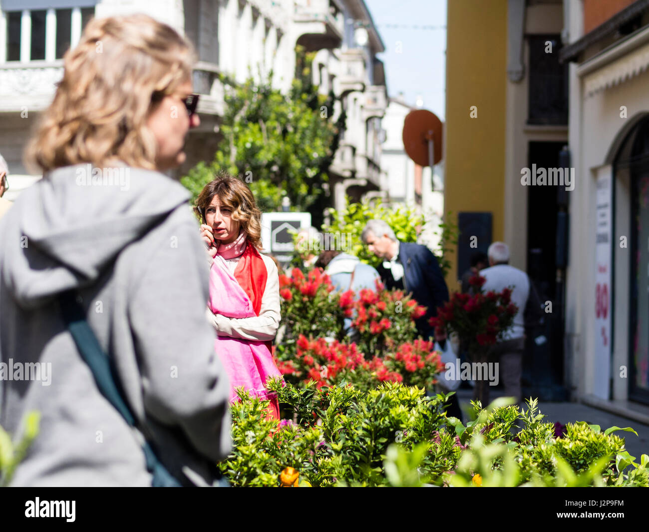 Botanic Invasions event - street flower and plants open market ...