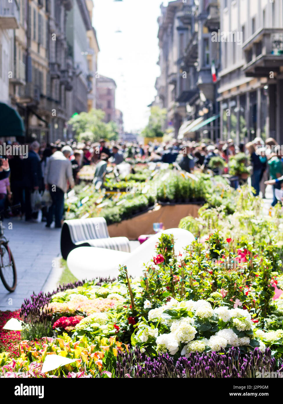 Crowded Botanic Invasions event - street flower and plants open market ...