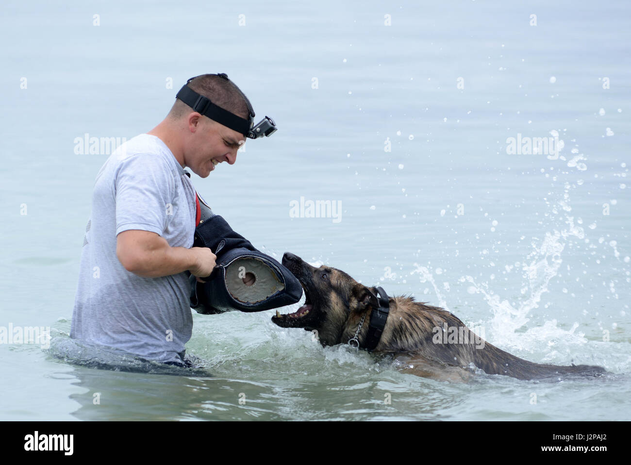 U.S. Air Force military working dog Maci, performs a controlled water ...