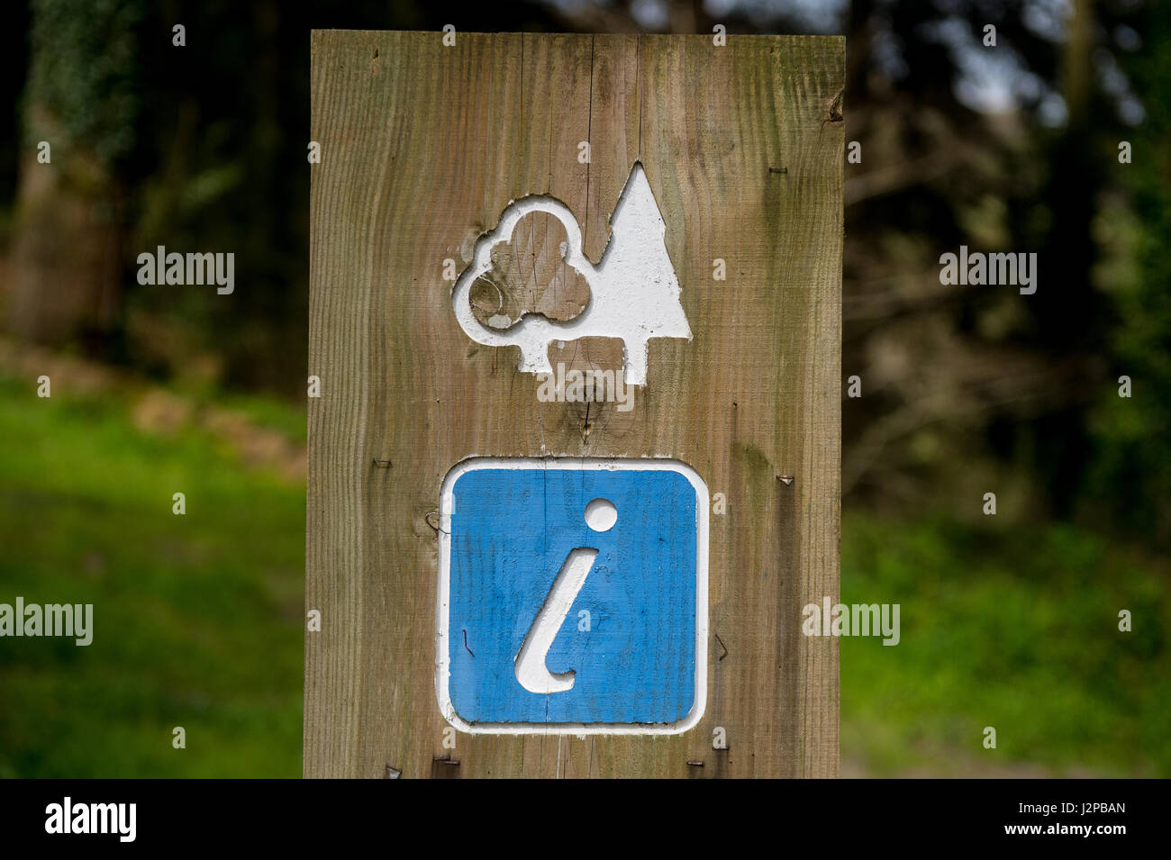 Sunday 30 April 2014 Pictured: A forestry logo and information signpost ...