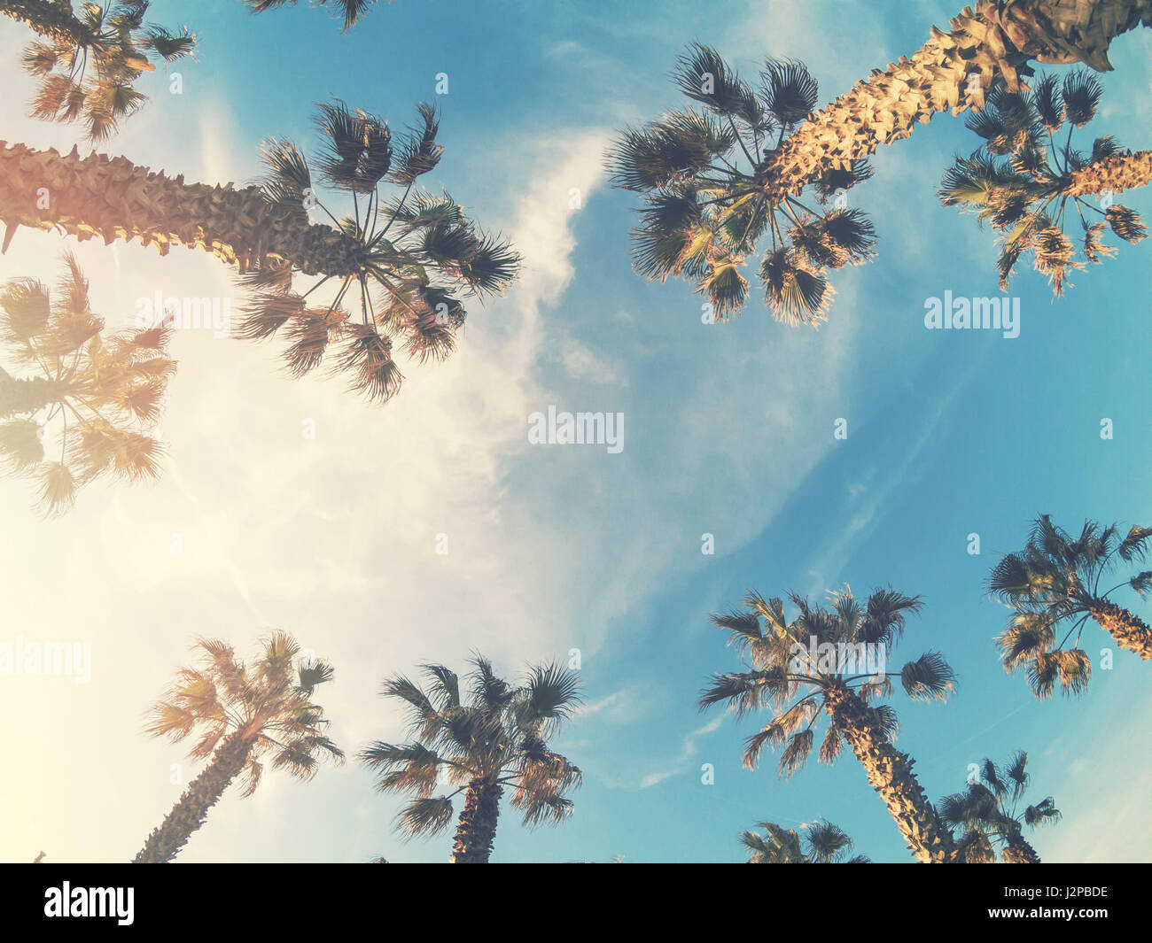 Beautiful tropical beach sunset palm hi-res stock photography and ...