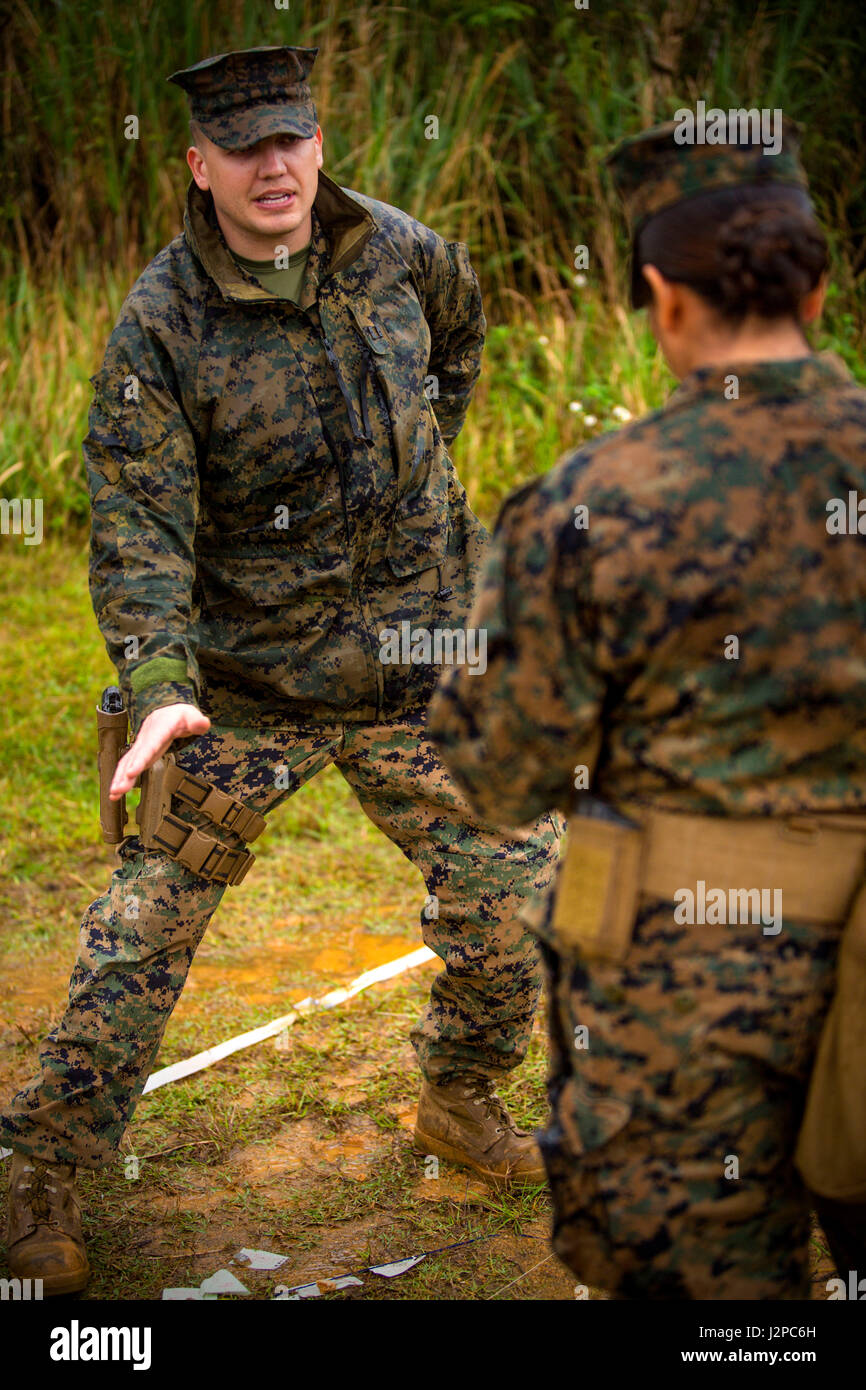 Readiness evaluation hi-res stock photography and images - Alamy