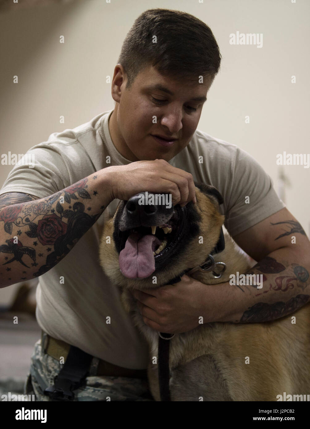 U s air force handler hi-res stock photography and images - Alamy