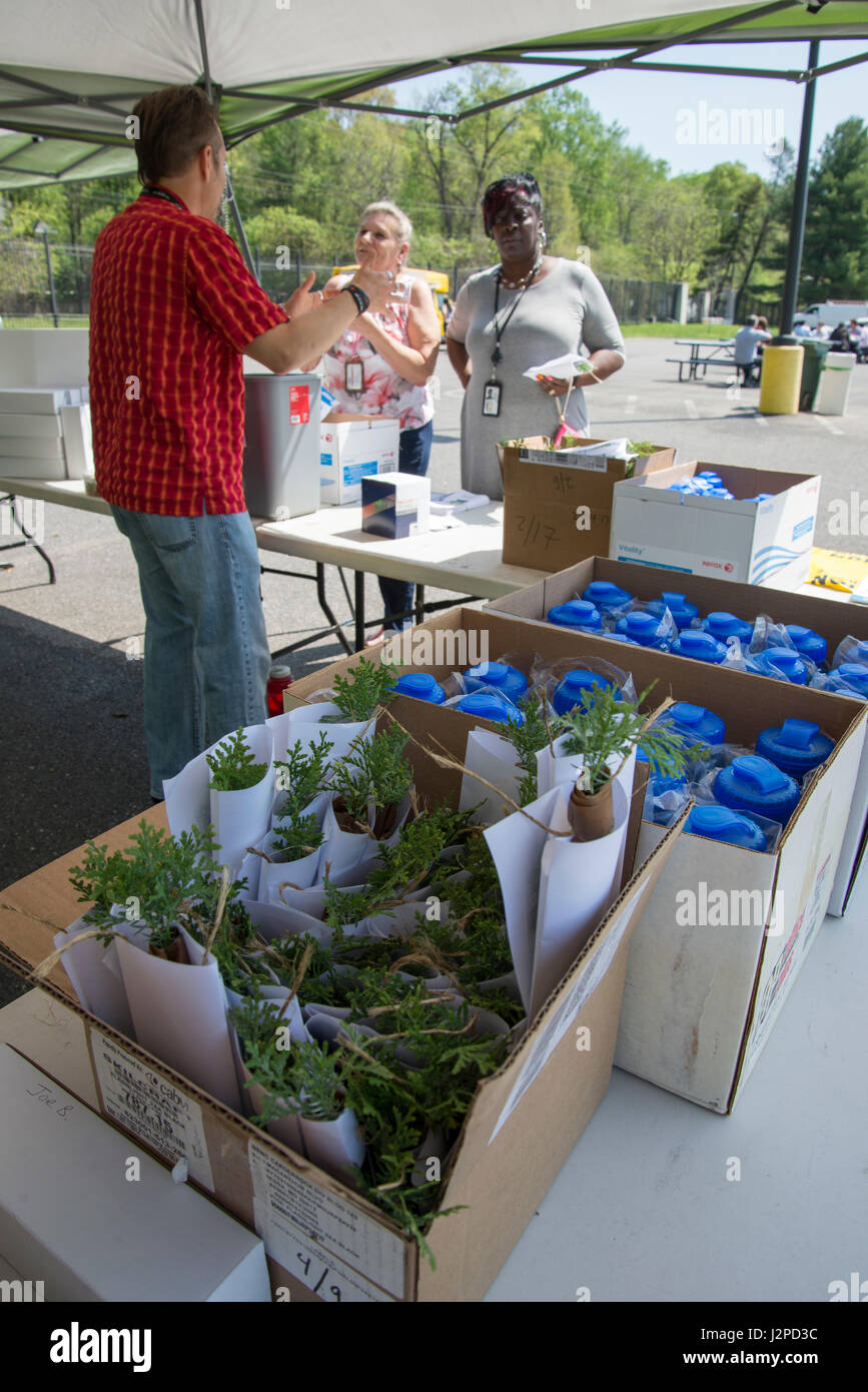 Mike Phillips, an environmental engineer, hands out live tree plugs ...
