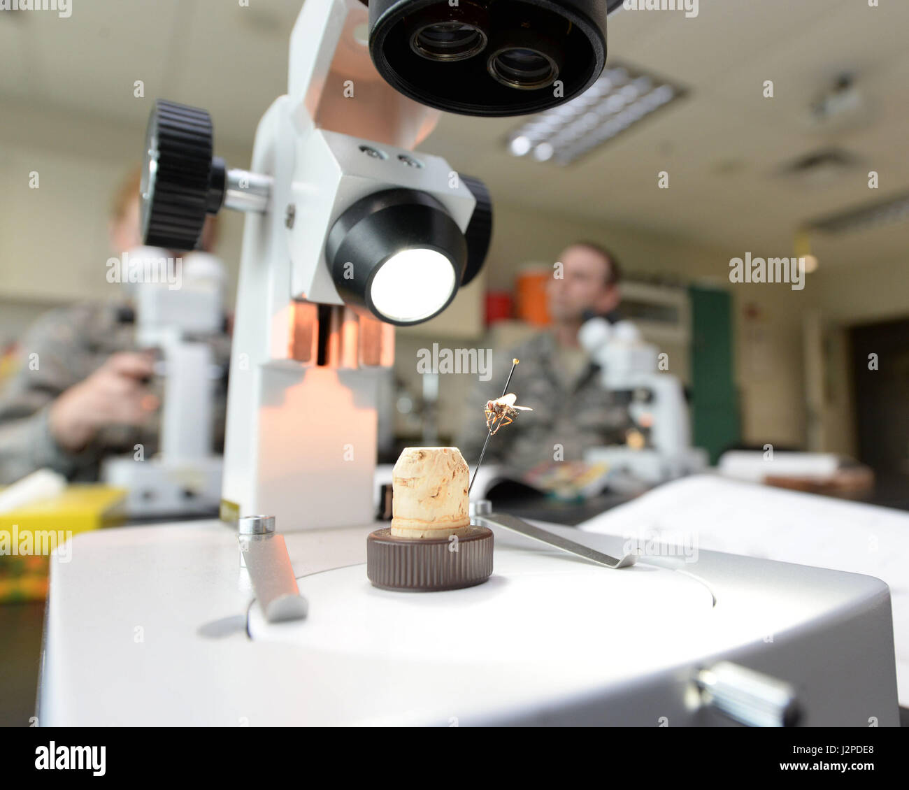 A microscope inside the entomology lab at the 88th Aerospace Medicine ...
