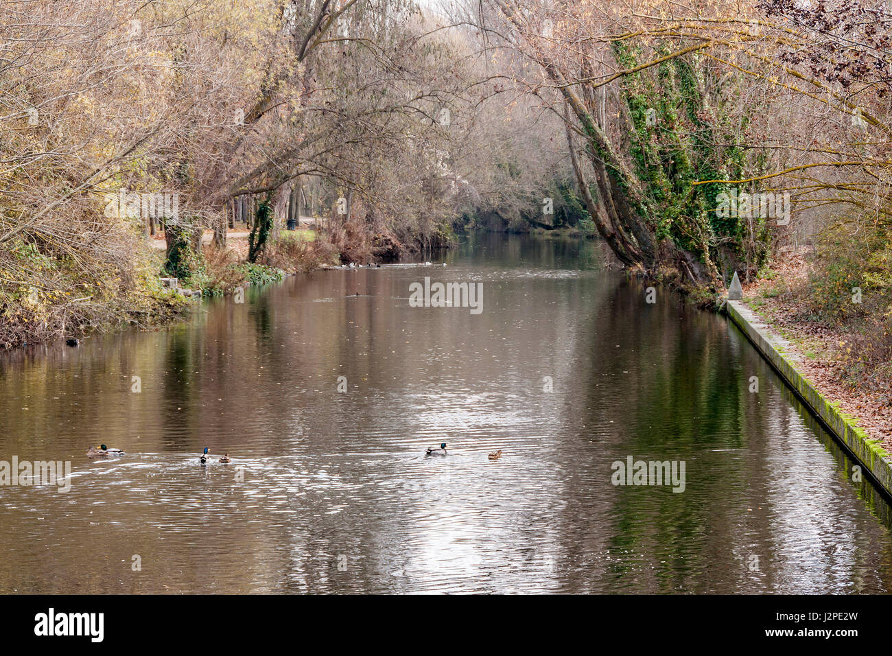 Río Eresma a su paso por Segovia, Castilla León, España Stock Photo - Alamy