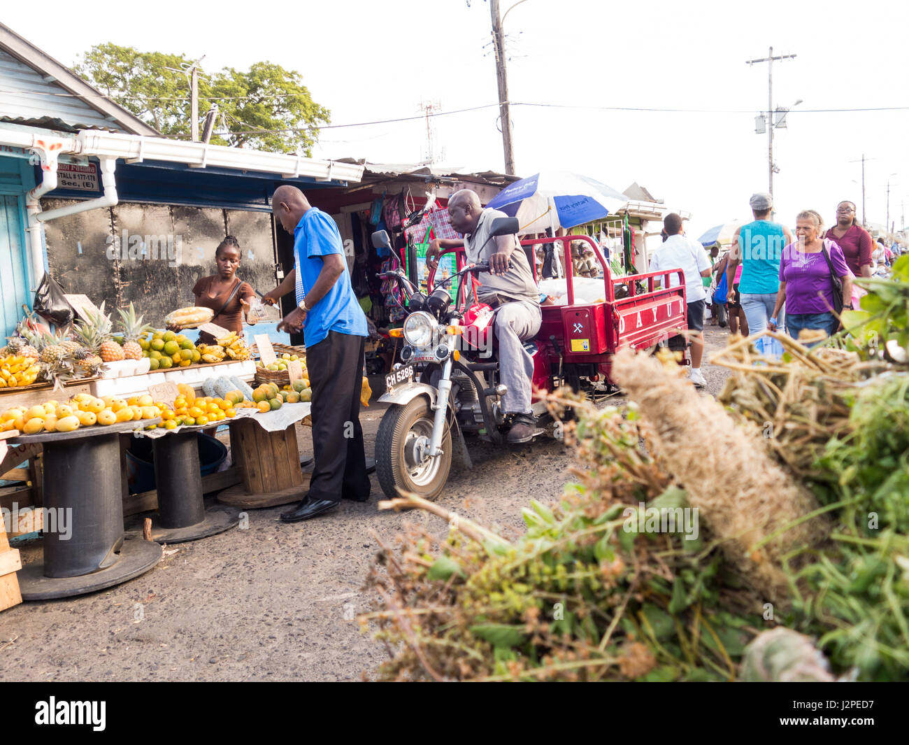Georgetown Guyana High Resolution Stock Photography and Images - Alamy