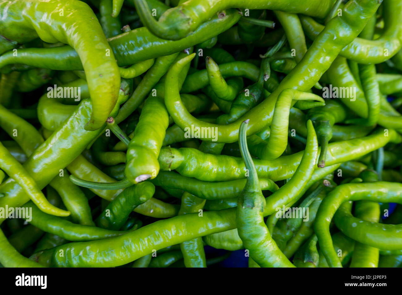Fresh chilli peppers Stock Photo - Alamy
