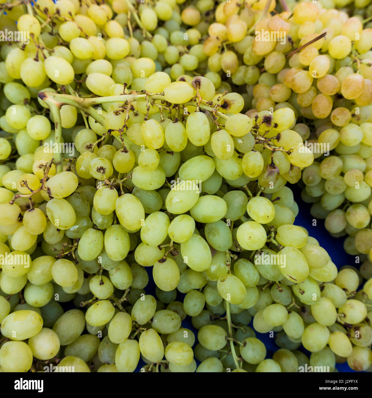 grapes in a market. grape background Stock Photo - Alamy