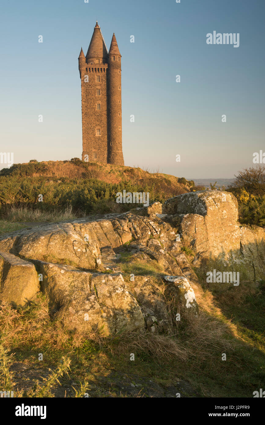 Scrabo Tower Stock Photo - Alamy
