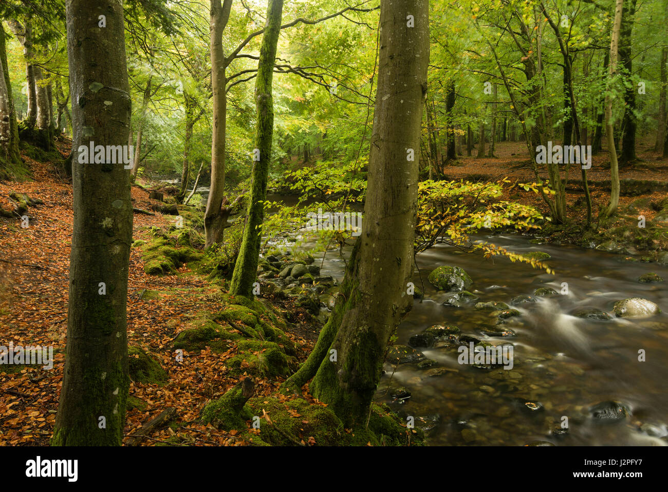 River shimna hi-res stock photography and images - Alamy