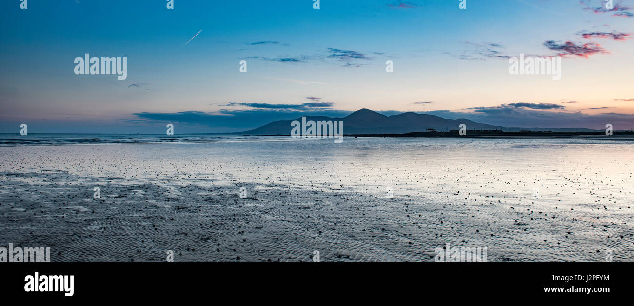 Tyrella hi-res stock photography and images - Alamy