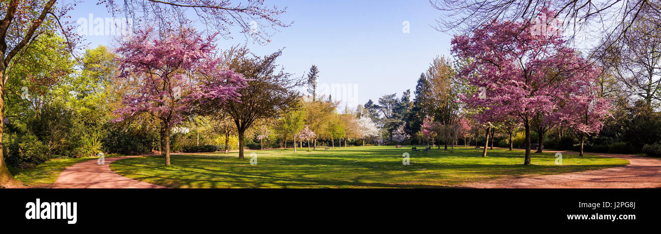 Beautiful park garden in spring. Spring panorama in park Stock Photo ...