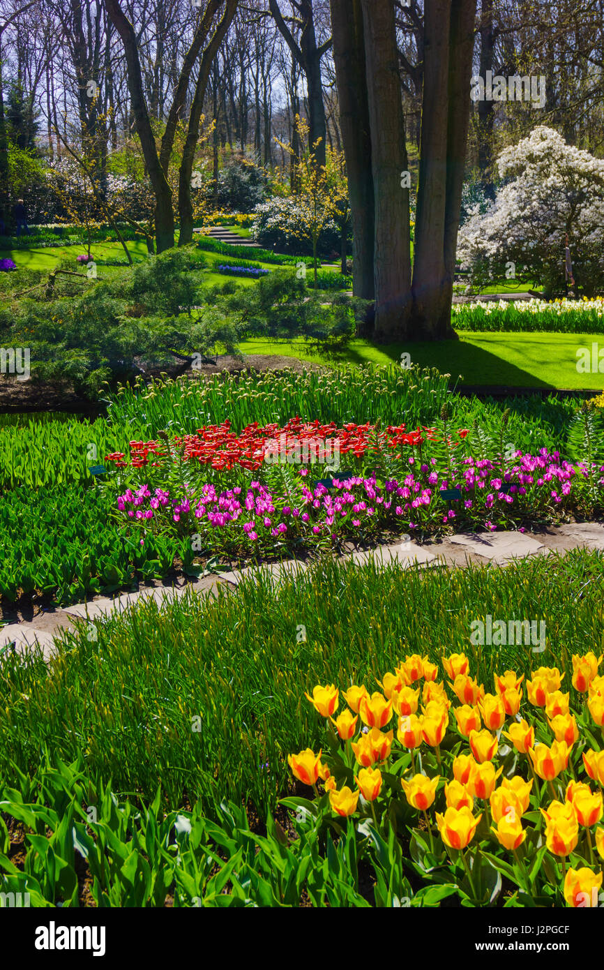 Beautiful garden. Park in The Spring. Spring landscape Stock Photo - Alamy