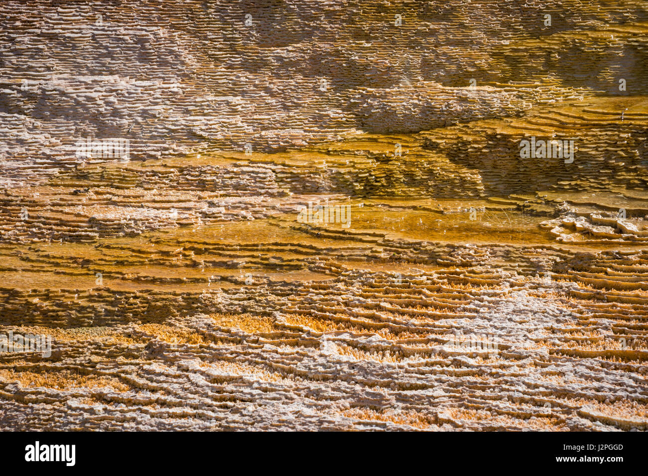 Detail showing geological structures of terraces at Yellowstone ...