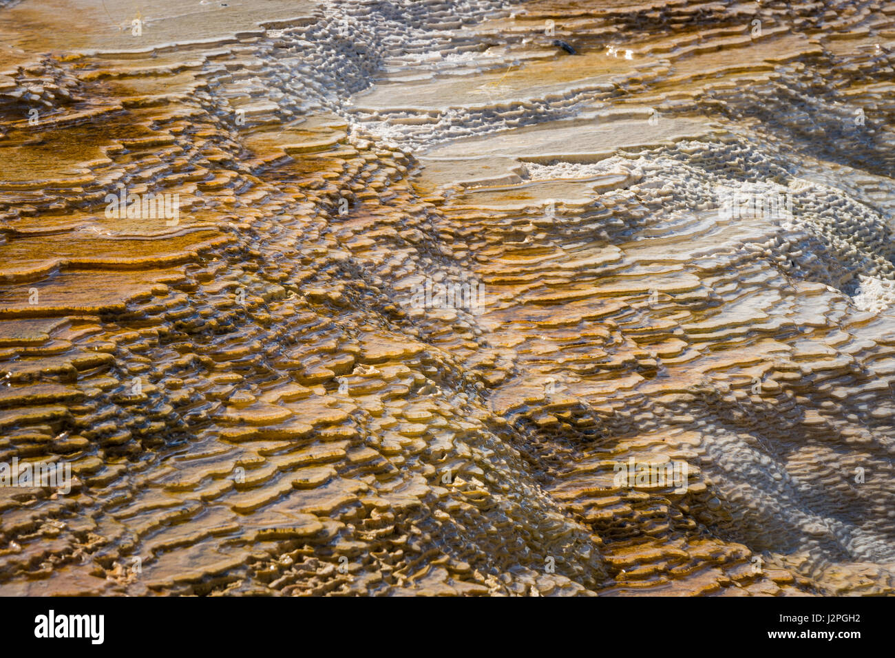 Detail showing geological structures of terraces at Yellowstone ...