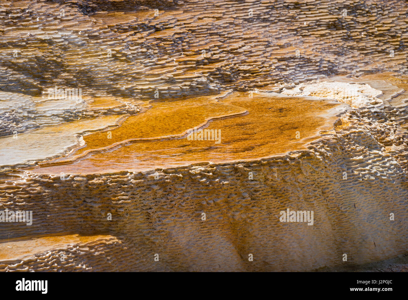 Detail showing geological structures of terraces at Yellowstone ...