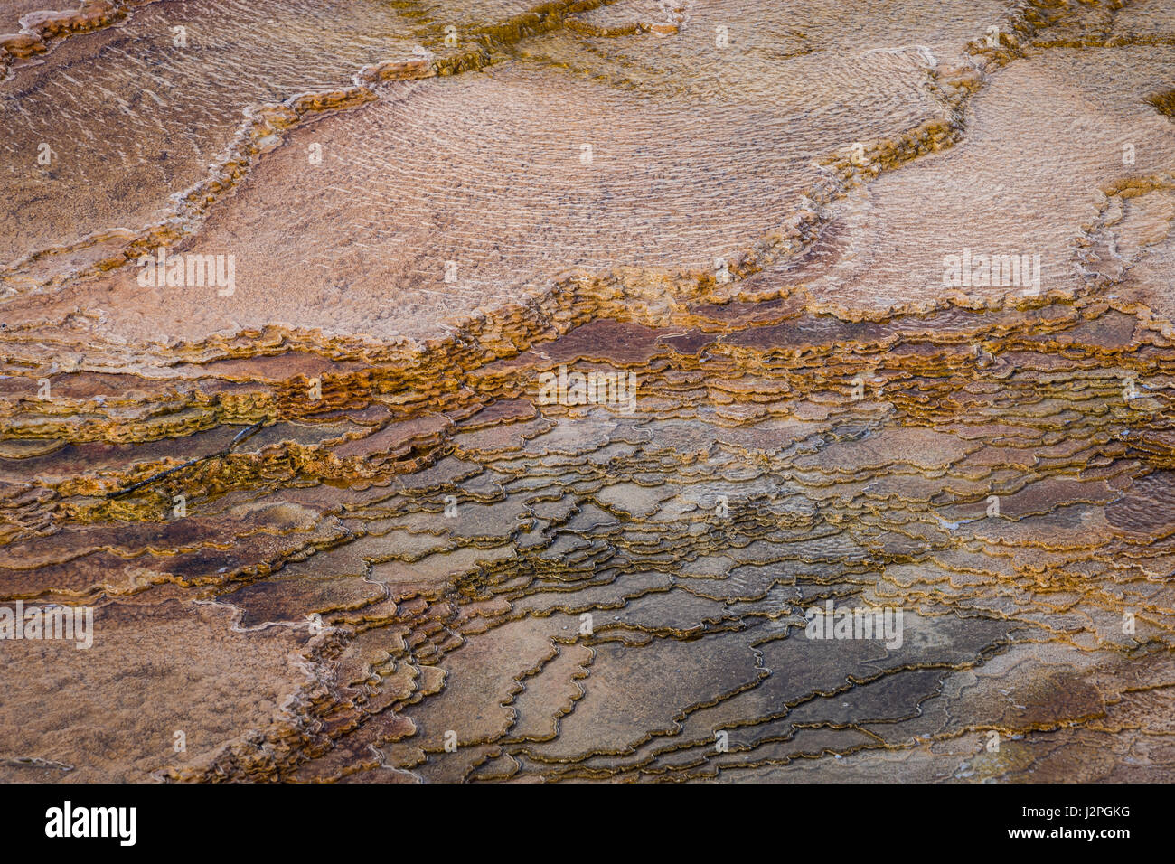 Detail showing geological structures of terraces at Yellowstone ...