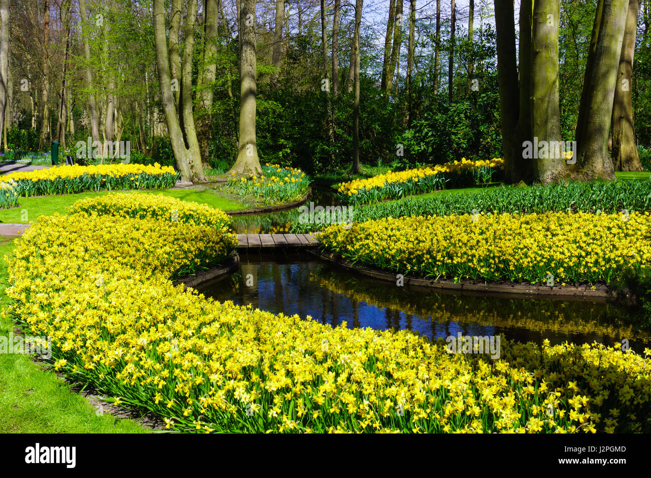 Beautiful garden. Park in The Spring. Spring landscape Stock Photo - Alamy