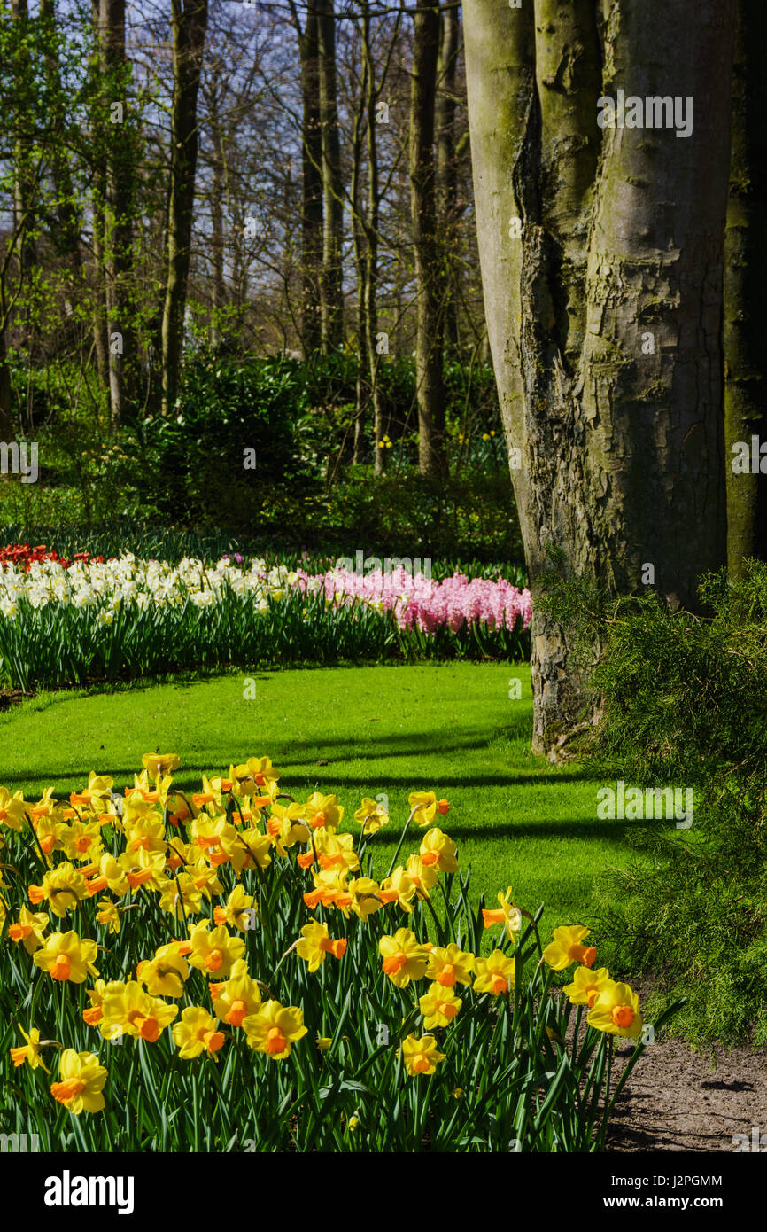 Beautiful garden. Park in The Spring. Spring landscape Stock Photo - Alamy