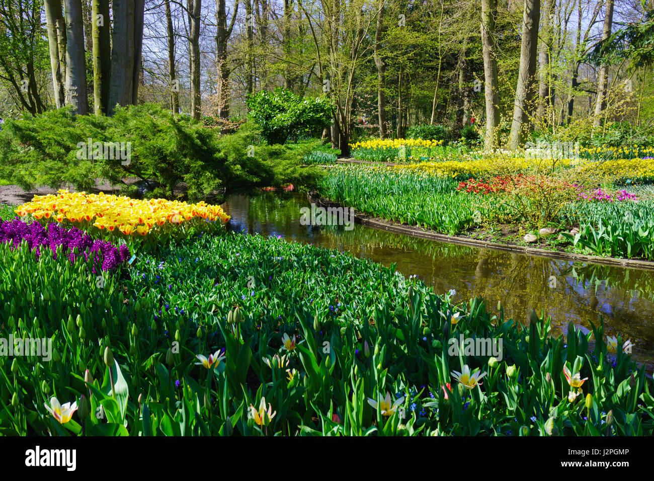 Beautiful garden. Park in The Spring. Spring landscape Stock Photo - Alamy