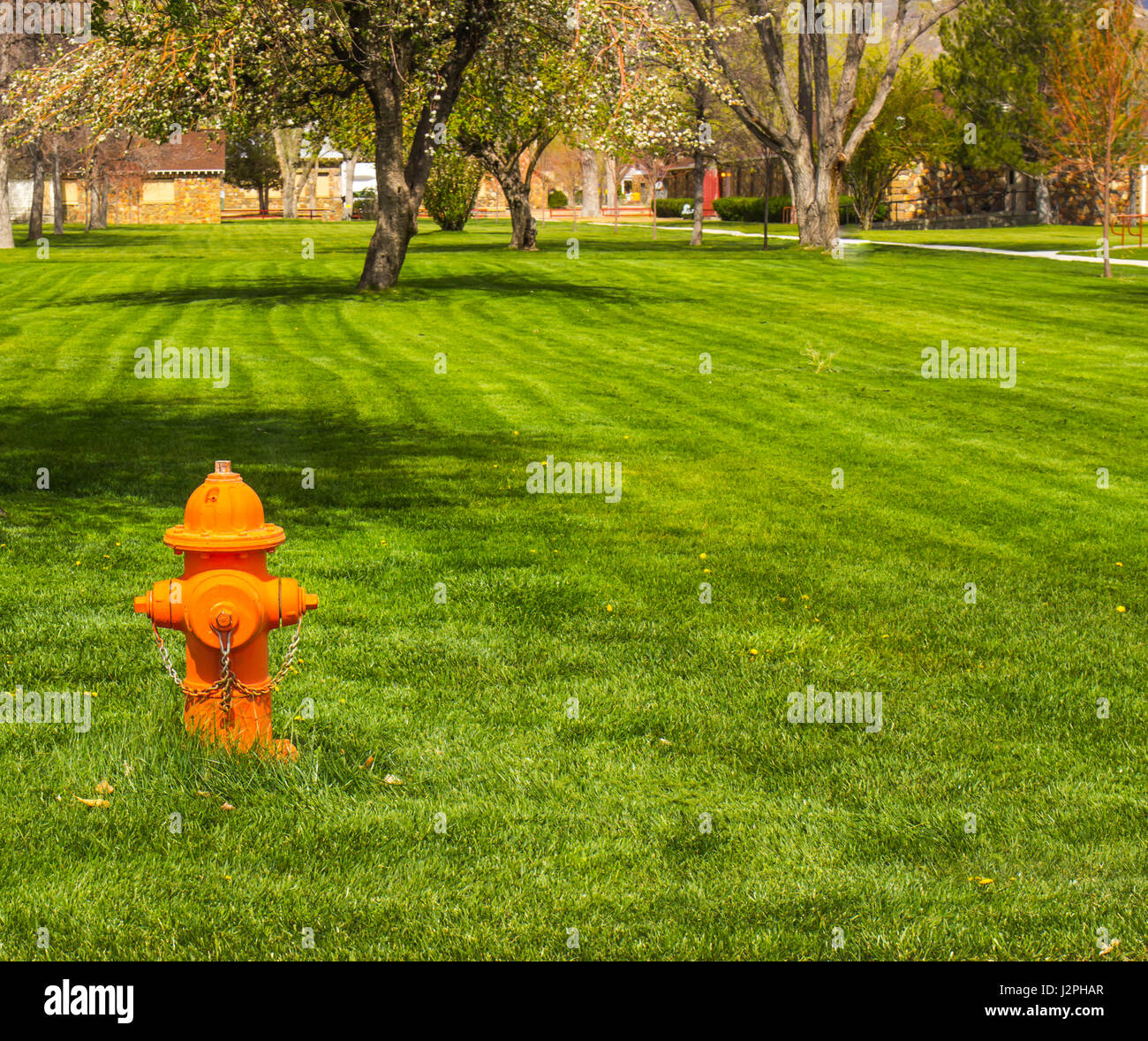 Orange Fire Hydrant In Grass Field Stock Photo - Alamy