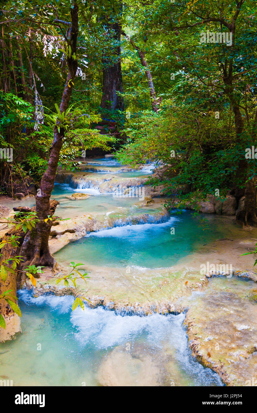 Deep forest waterfall Stock Photo - Alamy