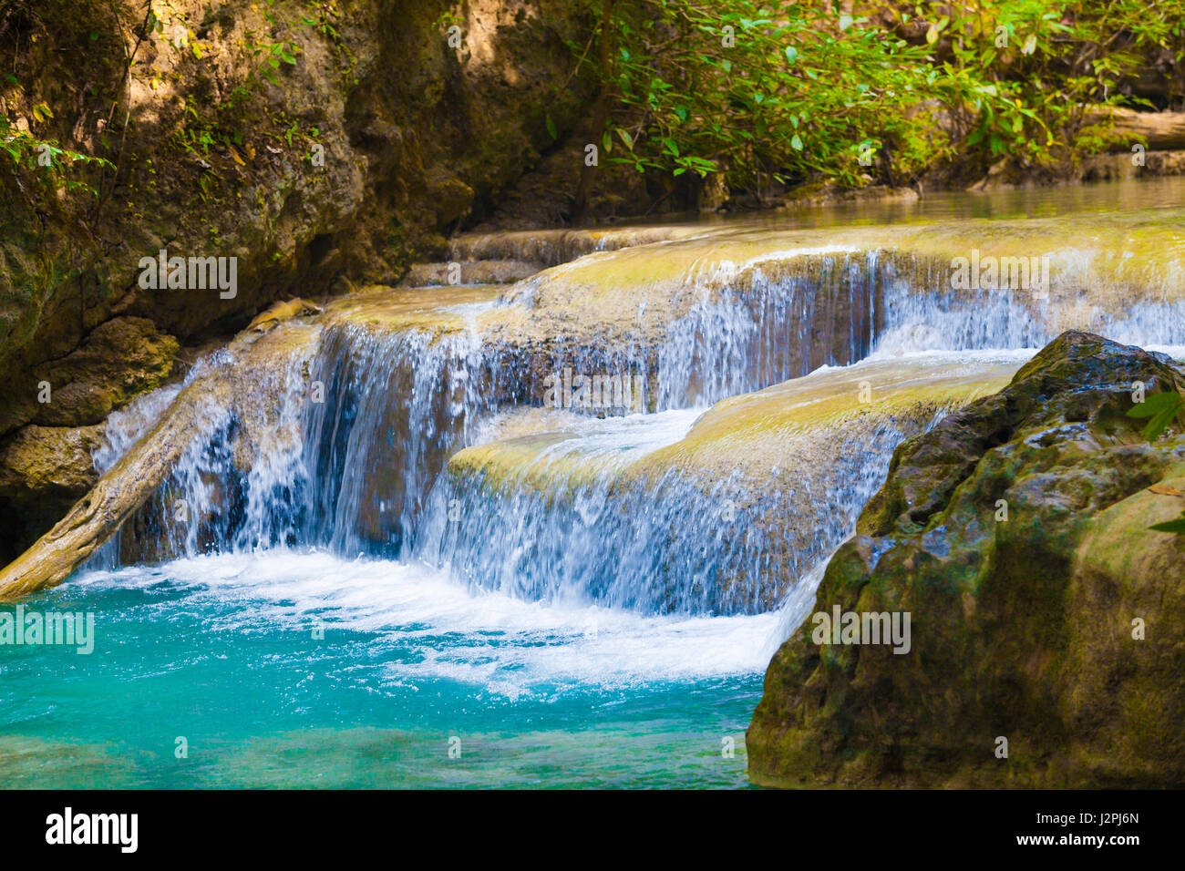 Deep forest waterfall Stock Photo - Alamy