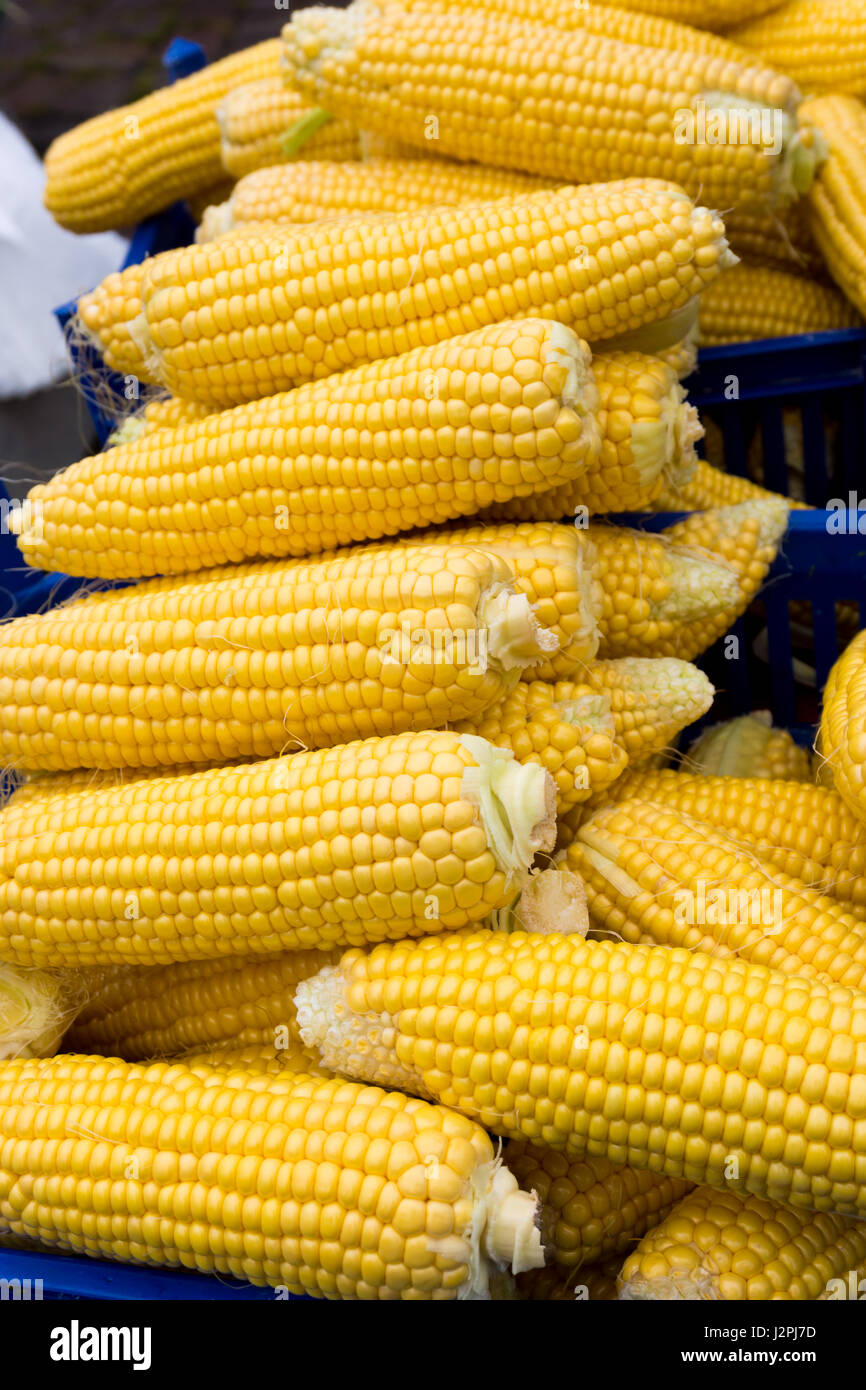 fresh corn. yellow corn background Stock Photo - Alamy