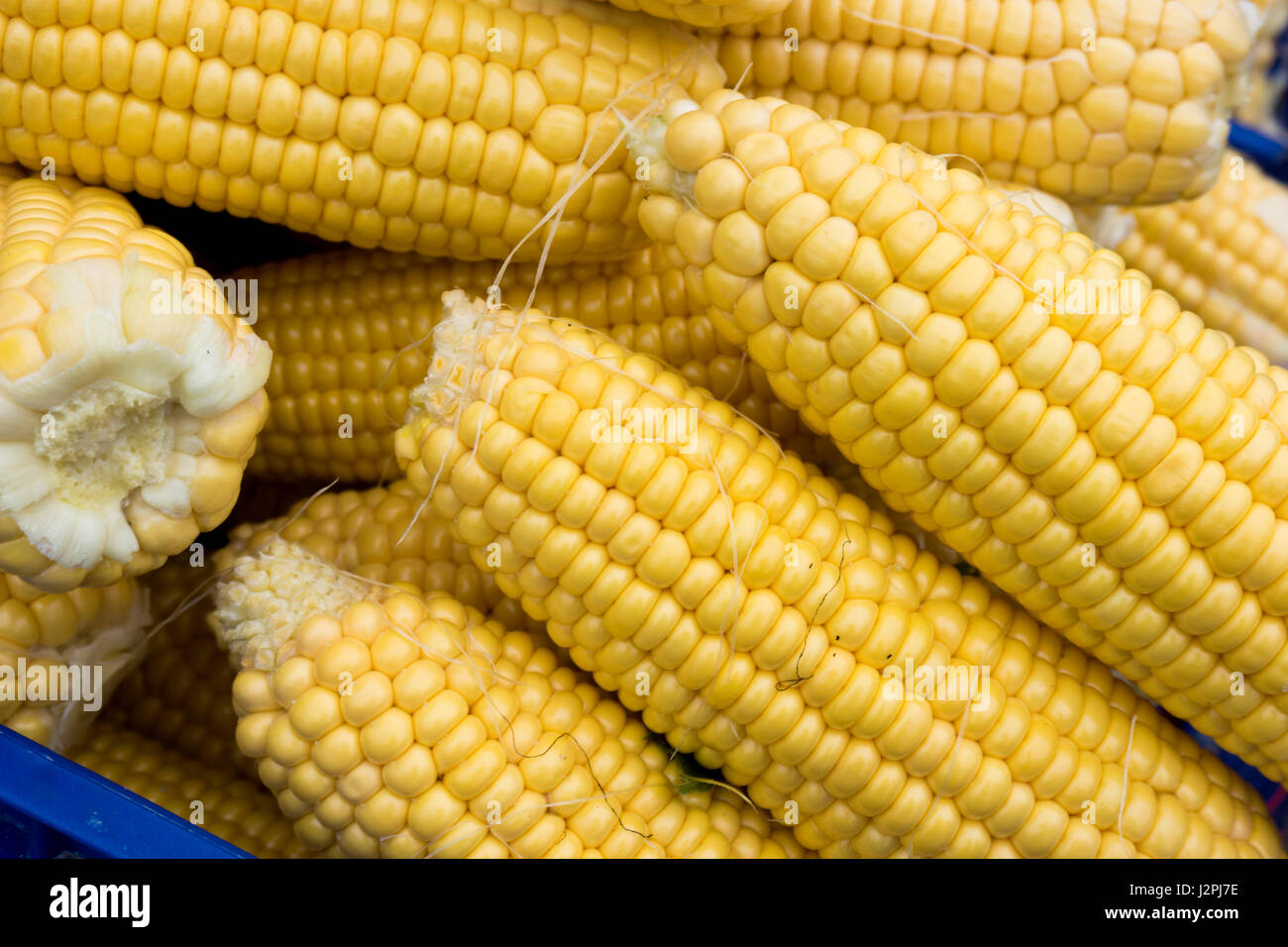 fresh corn. yellow corn background Stock Photo - Alamy