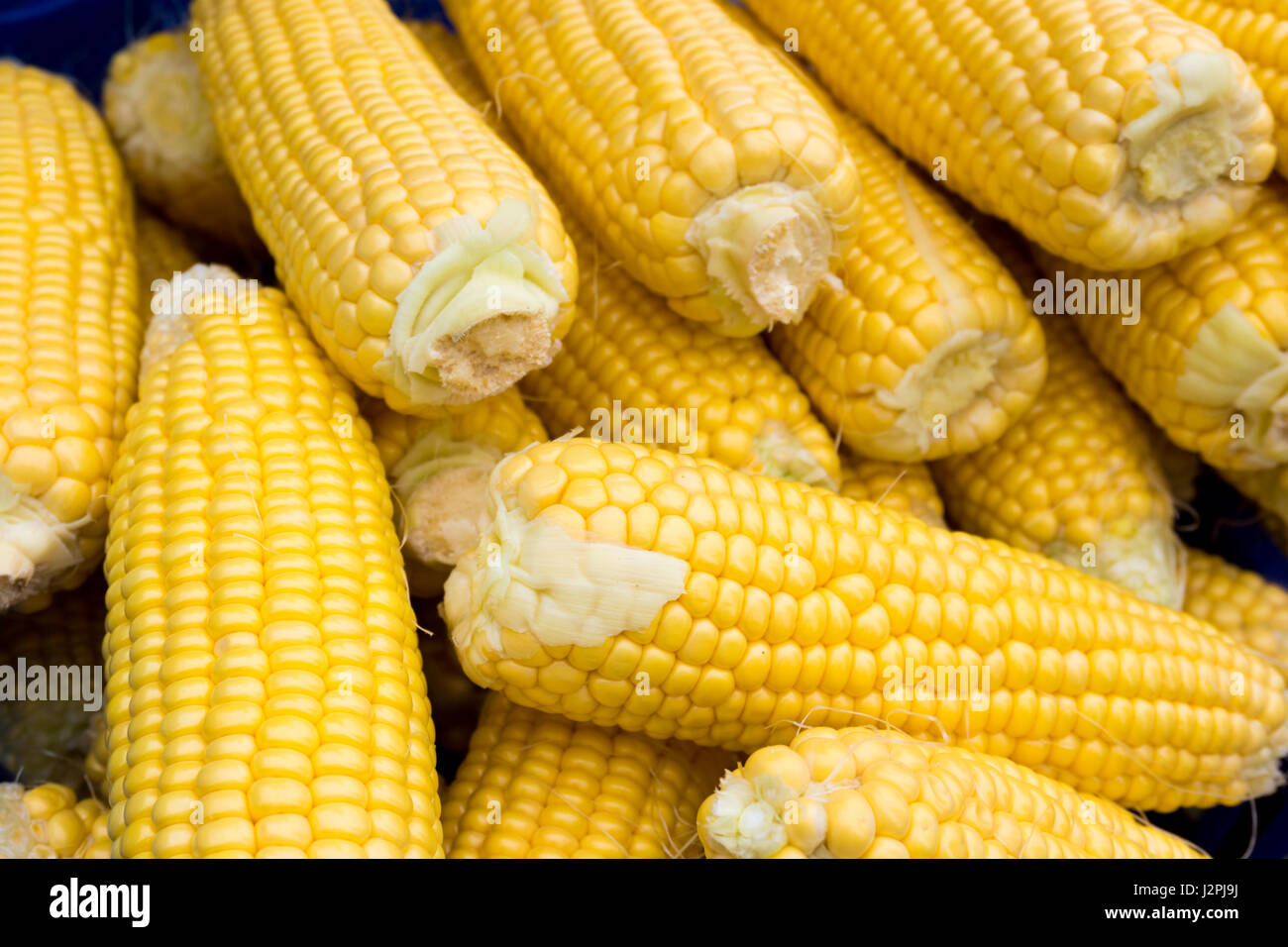 fresh corn. yellow corn background Stock Photo - Alamy