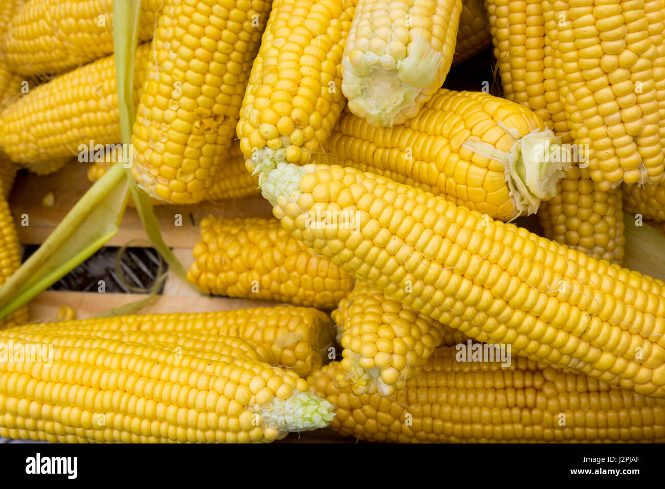 fresh corn. yellow corn background Stock Photo - Alamy