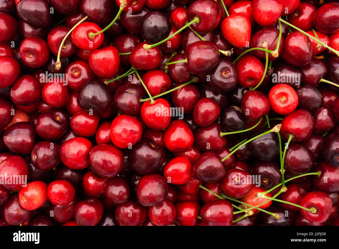 Red Cherries. Cherry selection. Background of ripe cherries Stock Photo ...