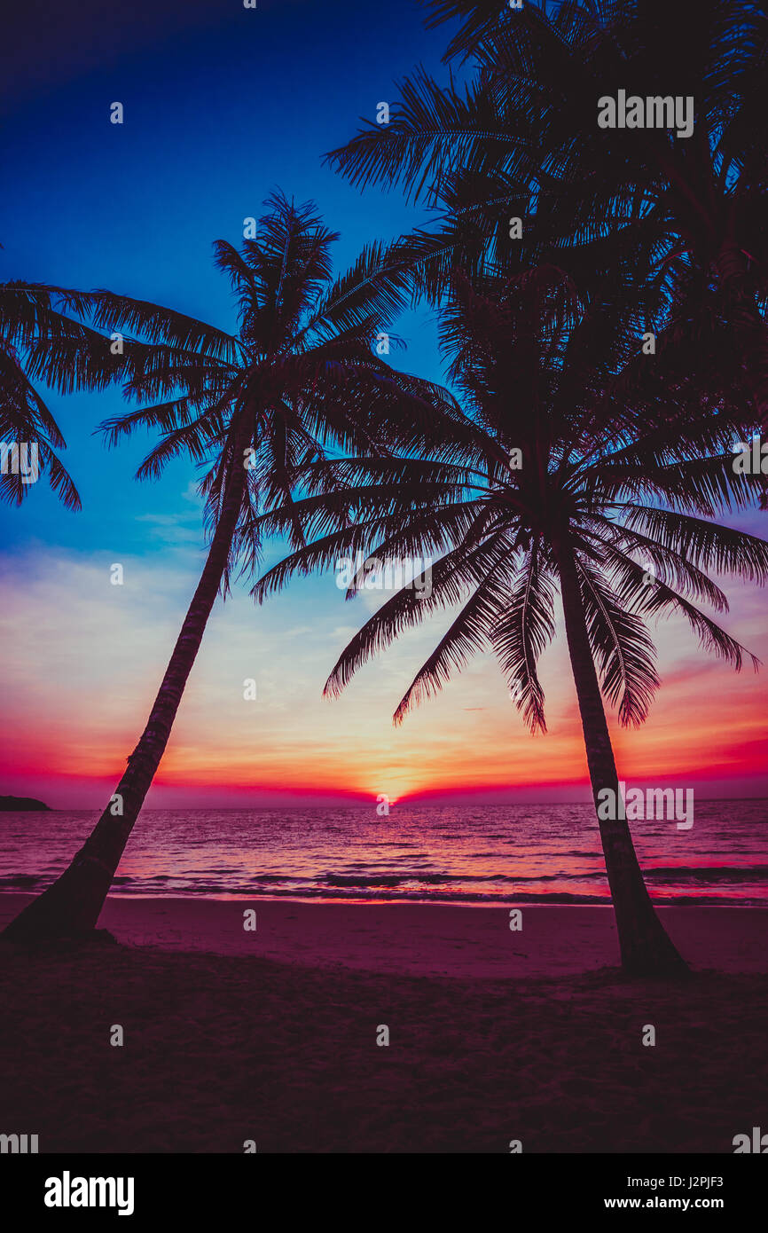 sunset tropical beach. Beautiful sunset Stock Photo - Alamy