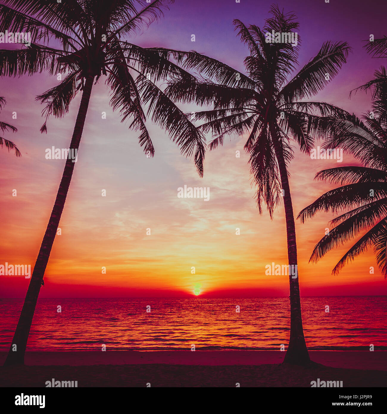 sunset tropical beach. Beautiful sunset Stock Photo - Alamy