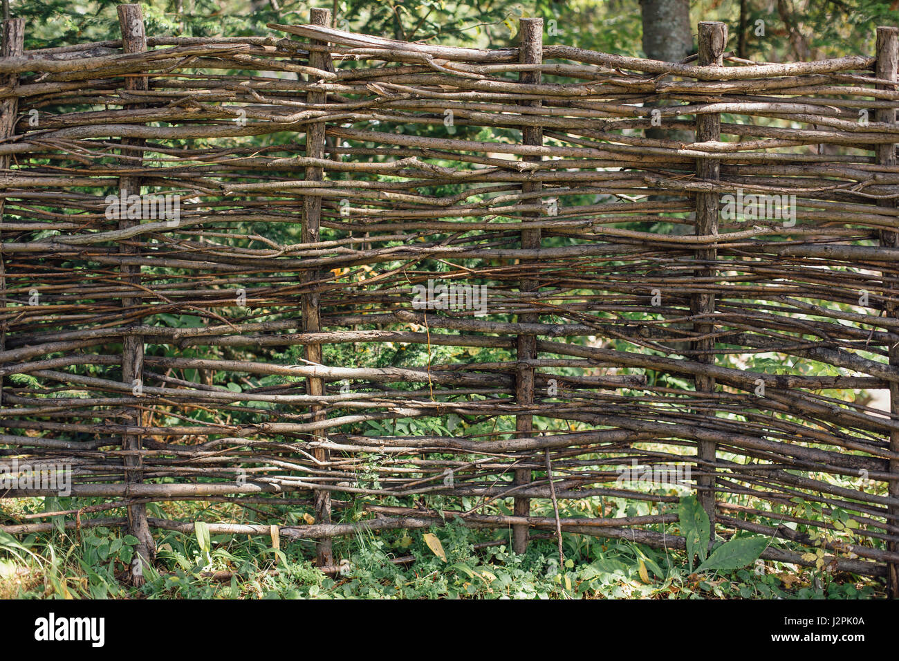 Flexible twigs hi-res stock photography and images - Alamy