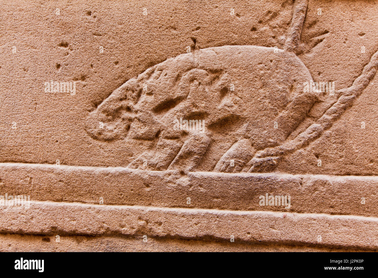 Egyptian hieroglyphics on the stone wall. Ancient stone carved Egyptian ...