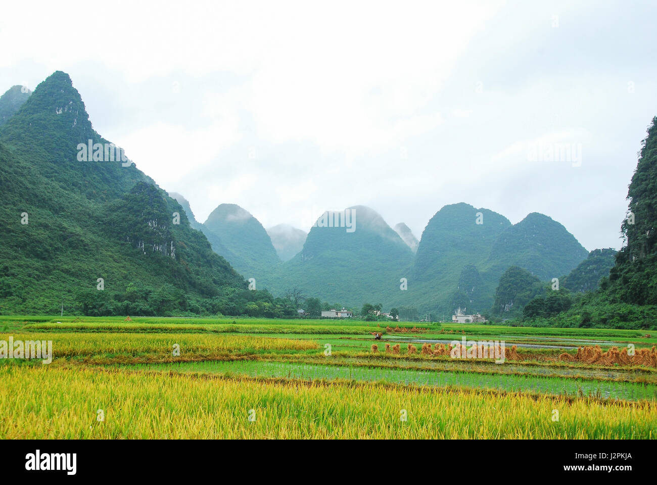 Beautiful countrysidel scenery in summer Stock Photo - Alamy