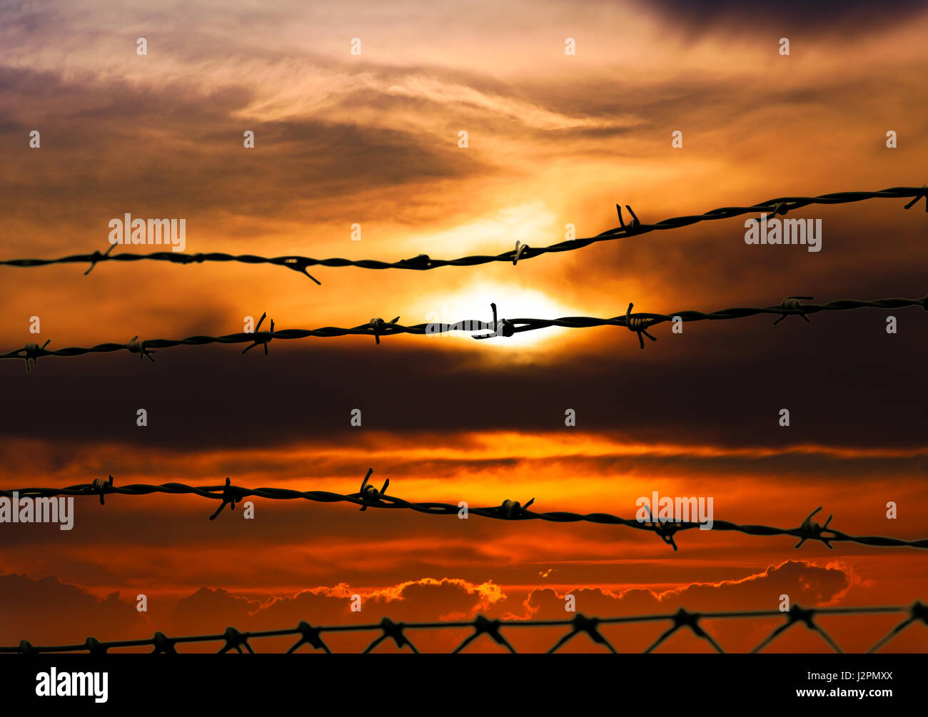 Barbed wire on sunset sky background Stock Photo - Alamy
