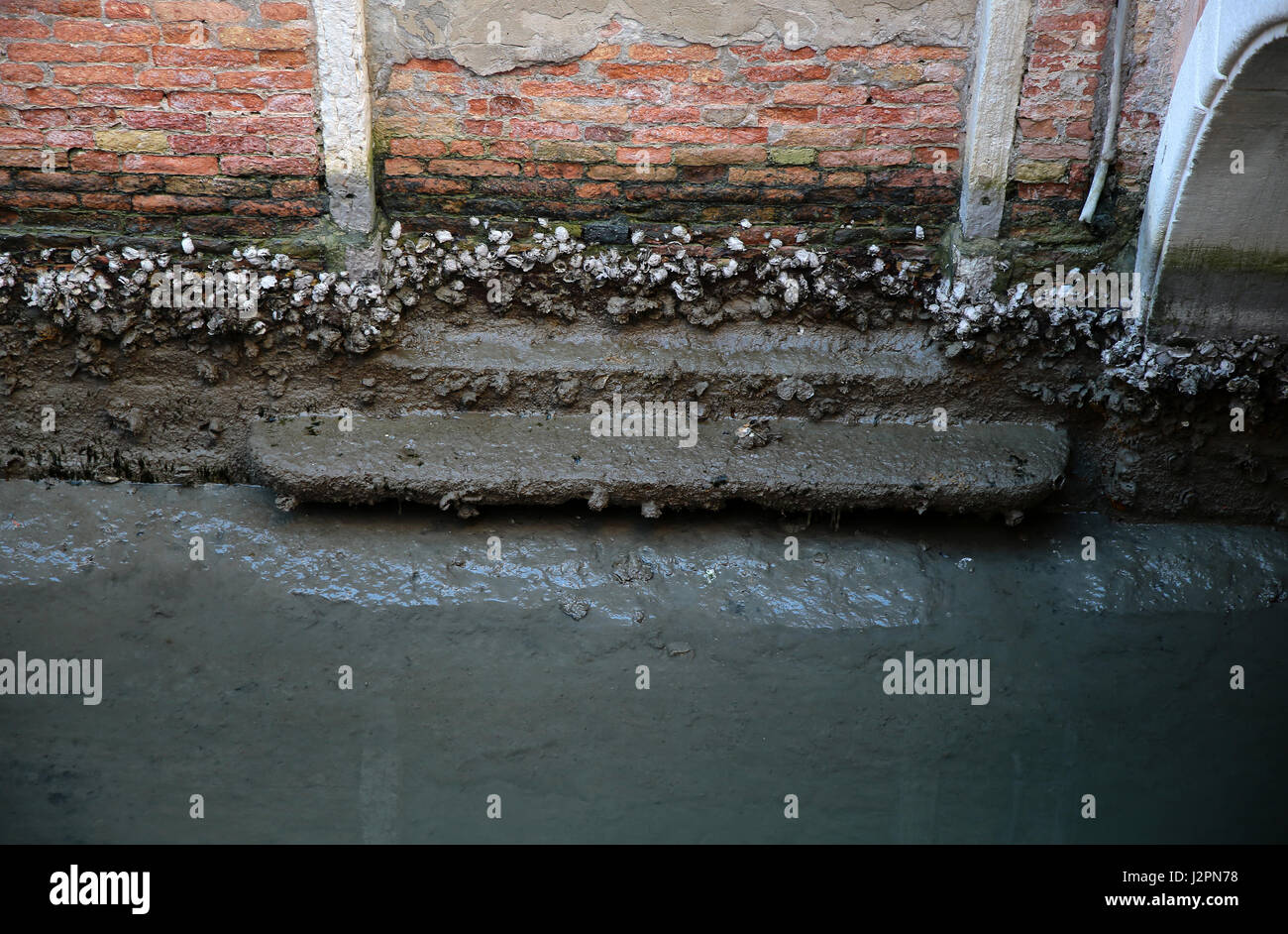 The famous canals of Venice experience a very low tide Featuring ...