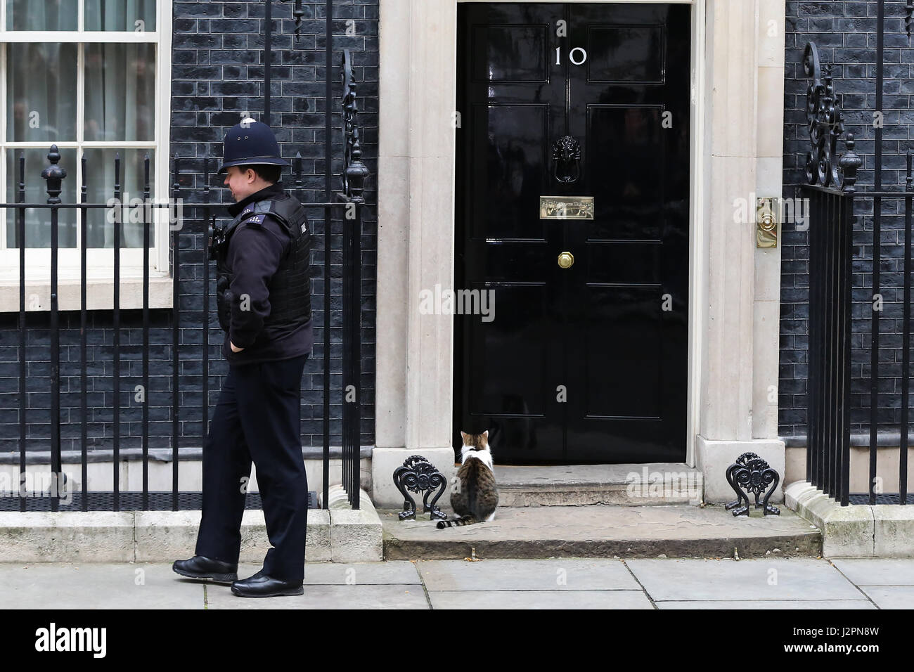 Larry the Downing Street cat waits outside the front door of number 10 ...