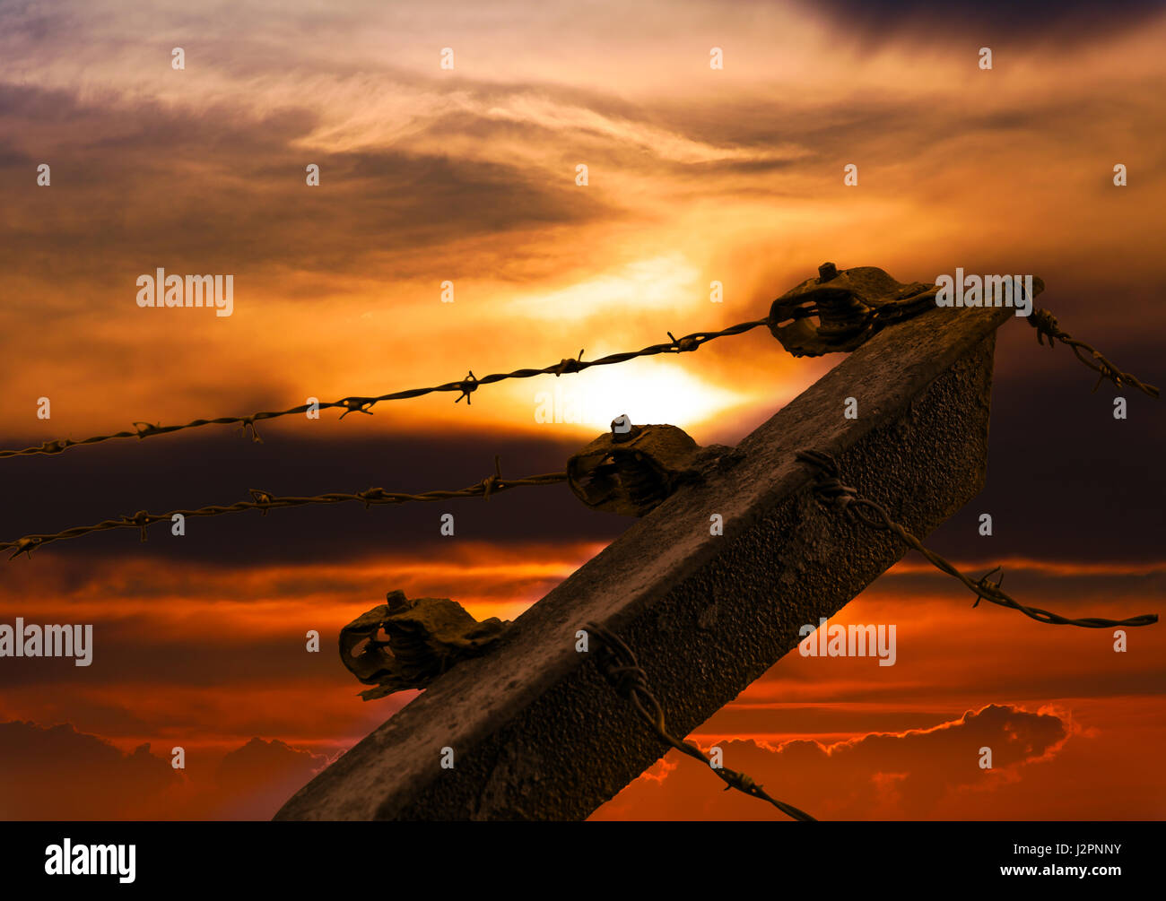 Barbed wire on sunset sky background Stock Photo - Alamy