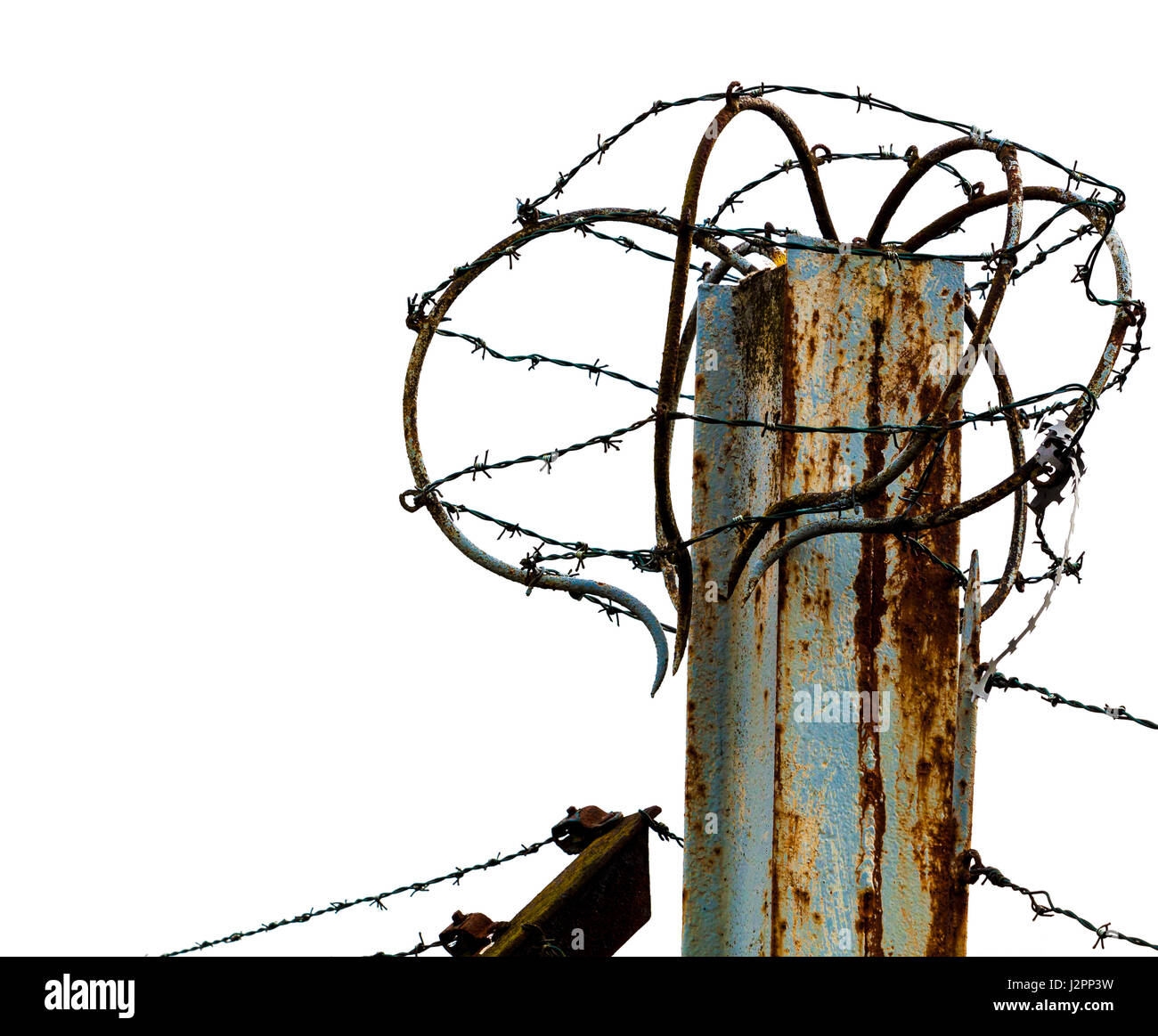 Barbed Wire on a white background Stock Photo - Alamy